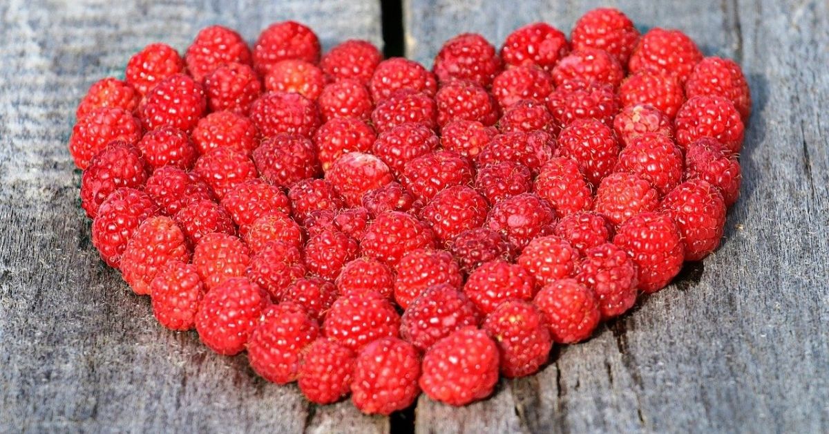 Červenec – co kdo zasel, to taky sklidí | srdceprirode.cz