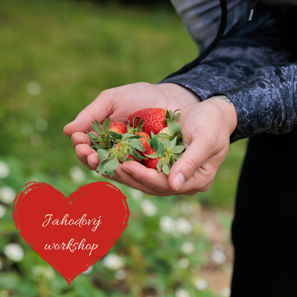 jahodový_workshop | srdceprirode.cz